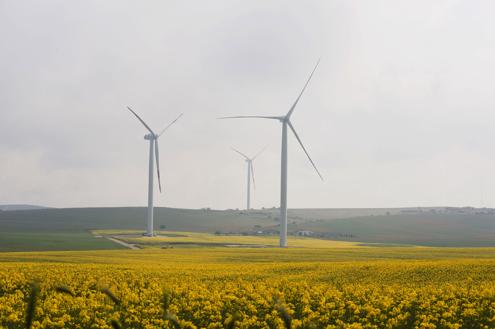 Living energy - Nadara